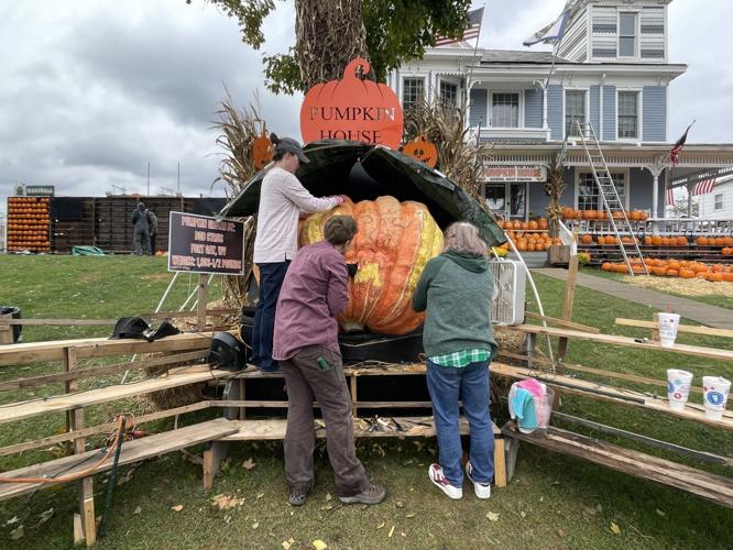 Artist begins carving giant pumpkin in Kenova | News | herald-dispatch.com