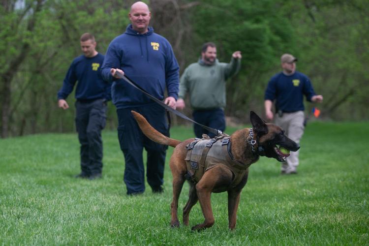 Photos: K9 officer training seminar | Multimedia | herald-dispatch.com