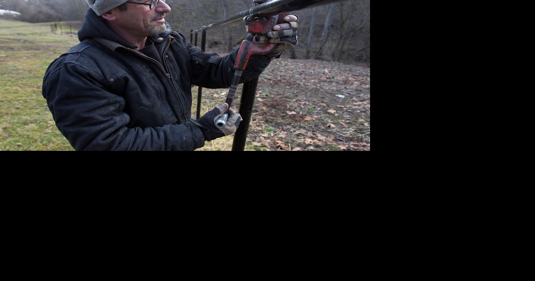 Gallery: Lori Wolfe's Photo Review of 2012 | Photos News | herald ...