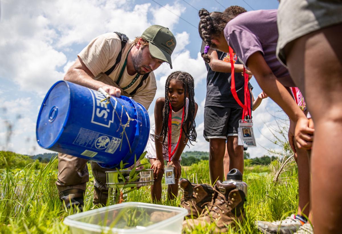 Wonders of Water summer camp teaches biology to youth | News | herald ...