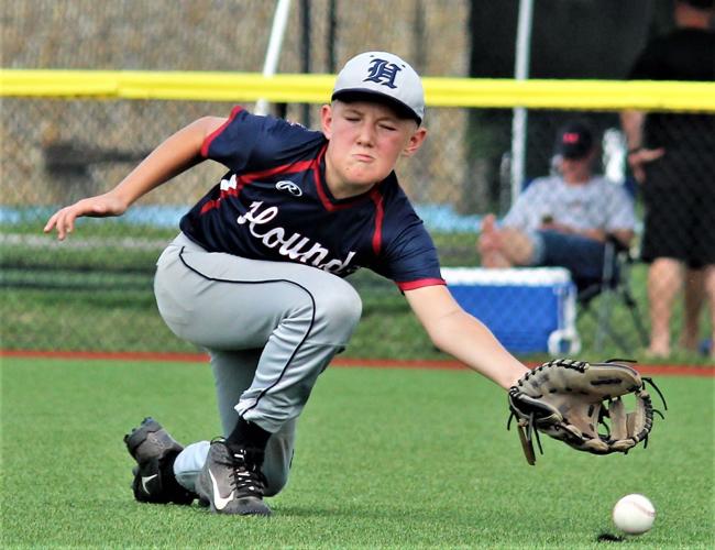 WV Sting host Hounds in summer ball | Putnam News | herald-dispatch.com