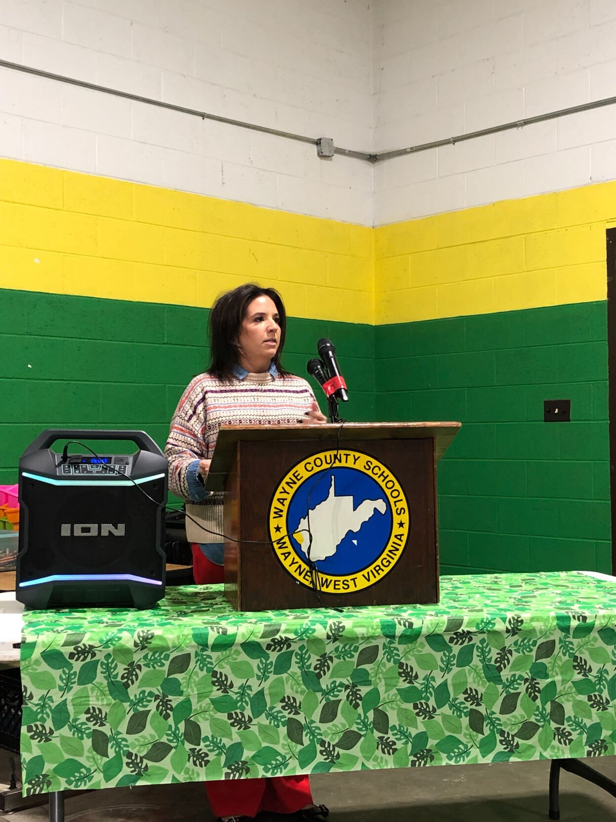 Community advocates for Dunlow Elementary School at public hearing ...