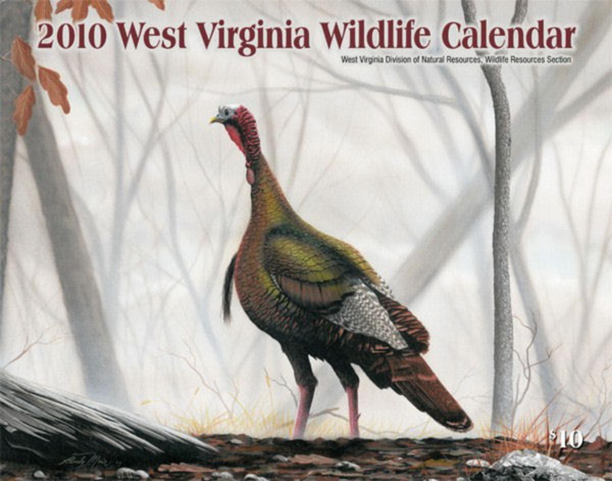 Gallery: Wildlife artist Chuck Ripper | Features/Entertainment | herald ...