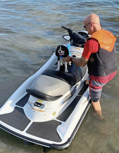 Ollie the Do Good Dog will jet ski from Pittsburgh to Cincinnati | News ...