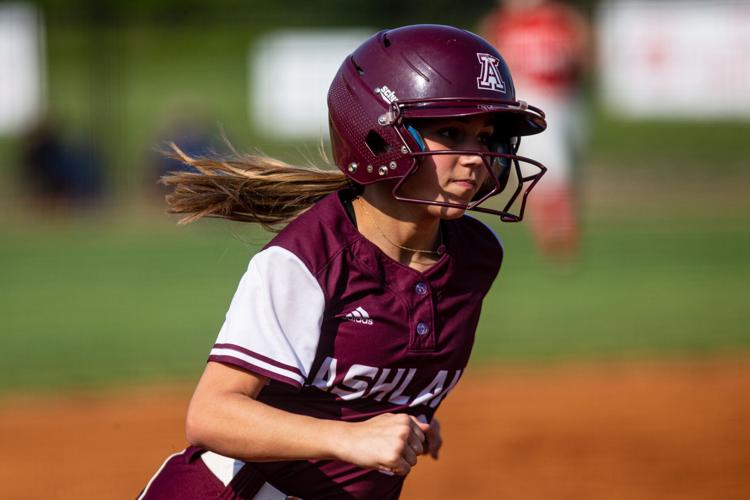 64th District softball final: Lions get past Ashland | Sports | herald ...