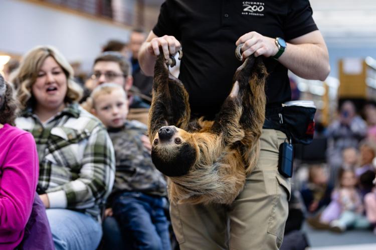 Animals from Columbus Zoo come to Ironton library | Ohio News | herald ...