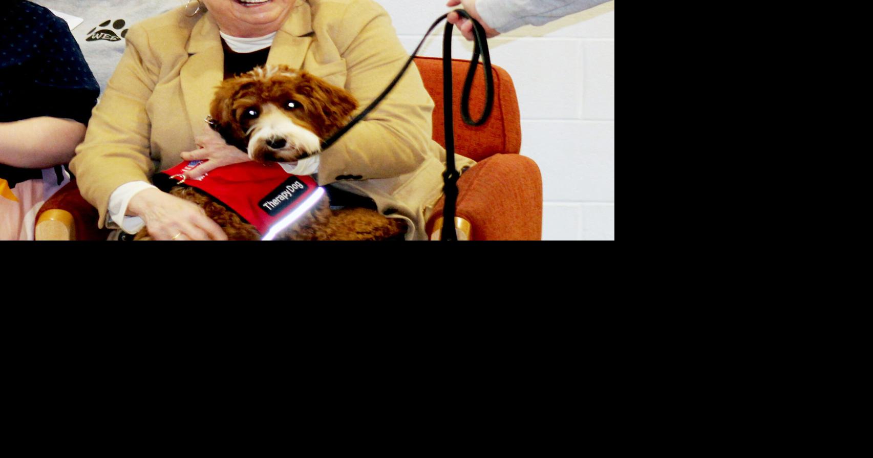 More therapy dogs to be placed in WV schools | News | herald-dispatch.com