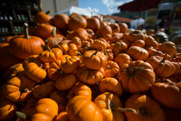 Photos: West Virginia Pumpkin Festival | Multimedia | herald-dispatch.com