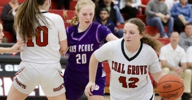 Prep roundup: Panthers rally in second half, beat Hornets 41-33 | High ...