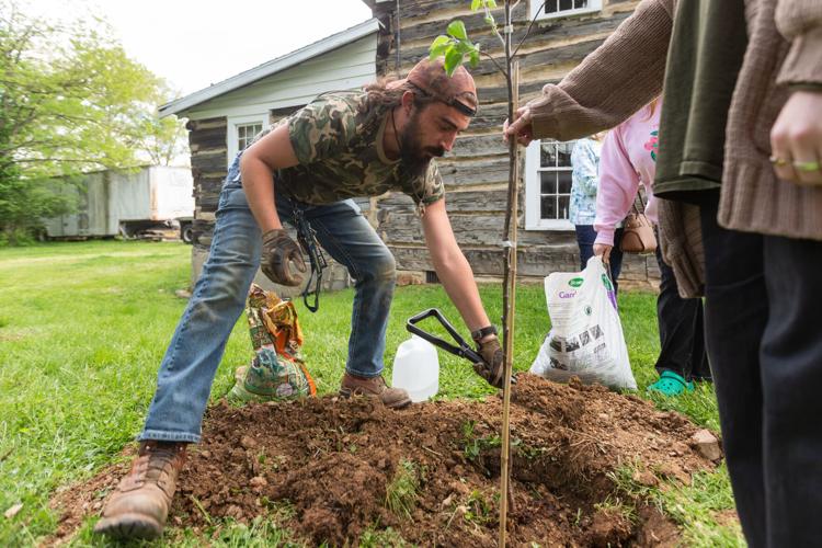 Pea Ridge Women's Club plants trees in Barboursville | News | herald ...