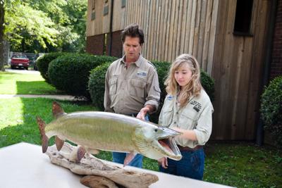 Muskellunge bite peaking soon | News | herald-dispatch.com