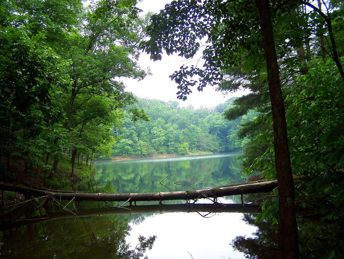 Gallery: Greenbo Lake State Resort Park | Photos News | herald-dispatch.com