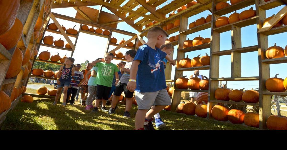 Gritt’s Fun Farm opens Sept. 17 in Buffalo | Features/Entertainment ...