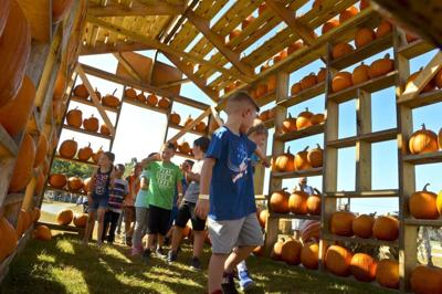 Gritt’s Fun Farm opens Sept. 17 in Buffalo | Putnam News | herald ...