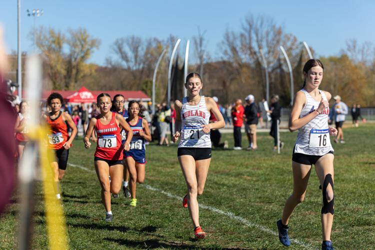 State prep cross country: Hurricane's Steorts claims third championship ...