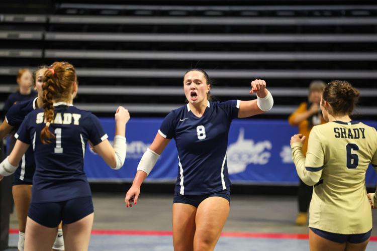 Prep volleyball Class AAA semifinals: Tigers out-spring Timberwolves in ...