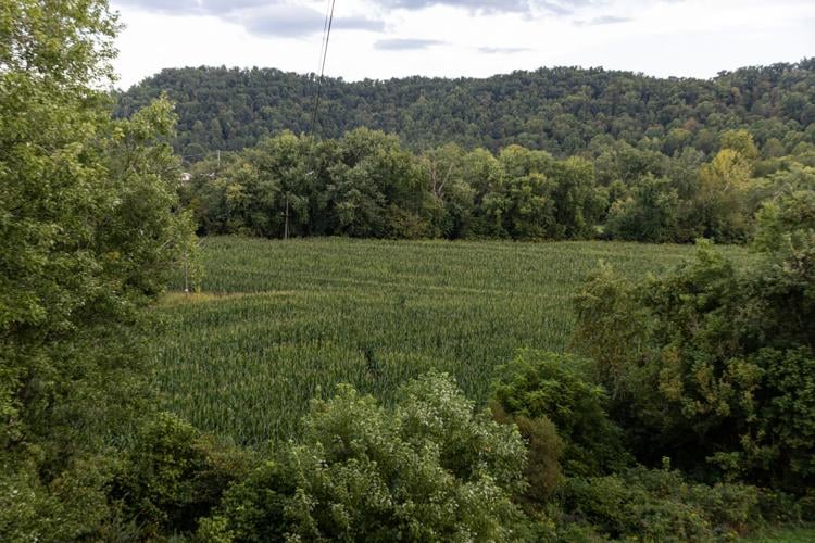 Milton Corn Maze opens this weekend | News | herald-dispatch.com