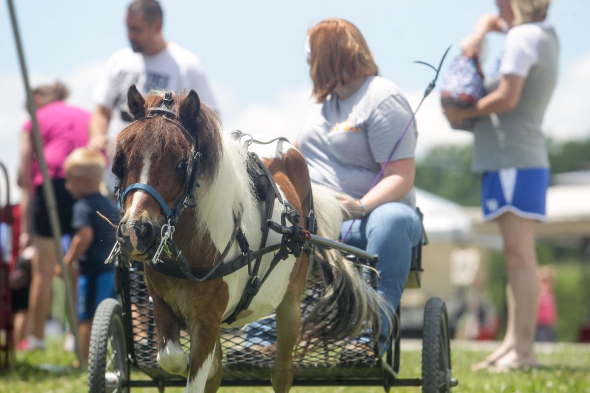 Photos: Community Day at Boyd County Fair | Multimedia | herald ...