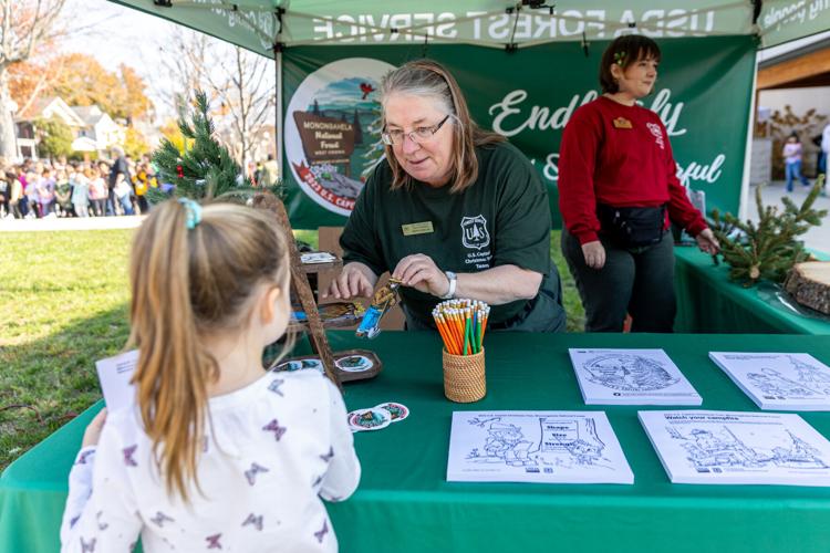 Photos: U.S. Capitol Christmas Tree stops in Huntington | Multimedia ...