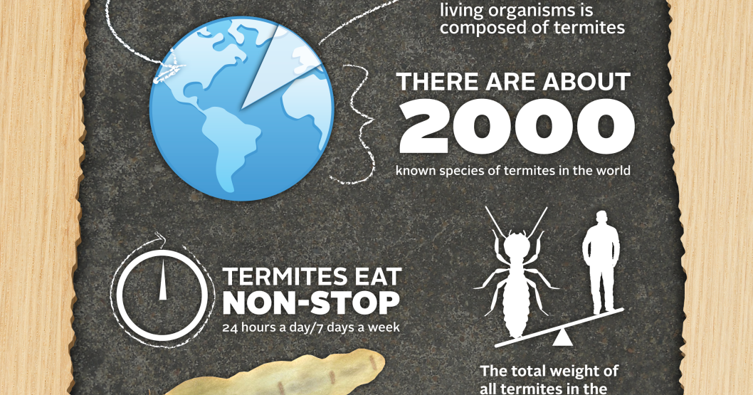 Buckle up for an active termite season | News | herald-dispatch.com