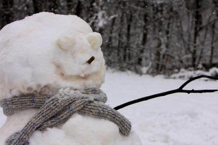 Gallery: Snowfall in Ritter Park | Photos News | herald-dispatch.com