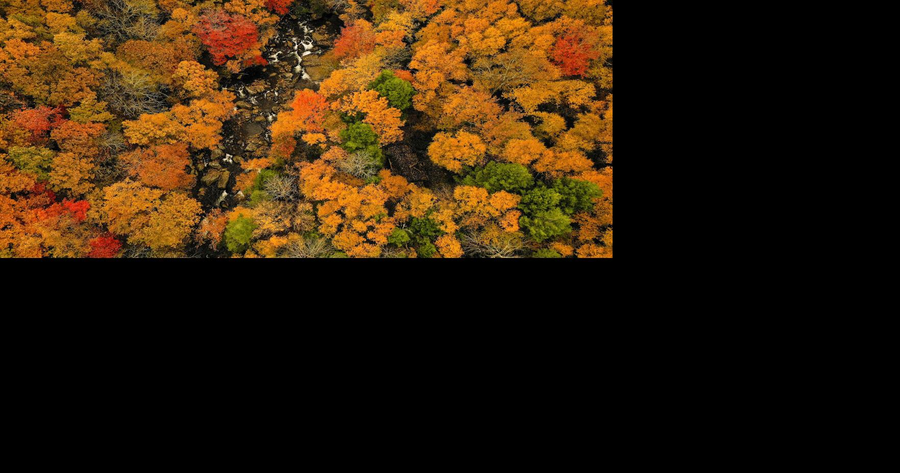 State officials say West Virginia experiencing best fall colors of the ...