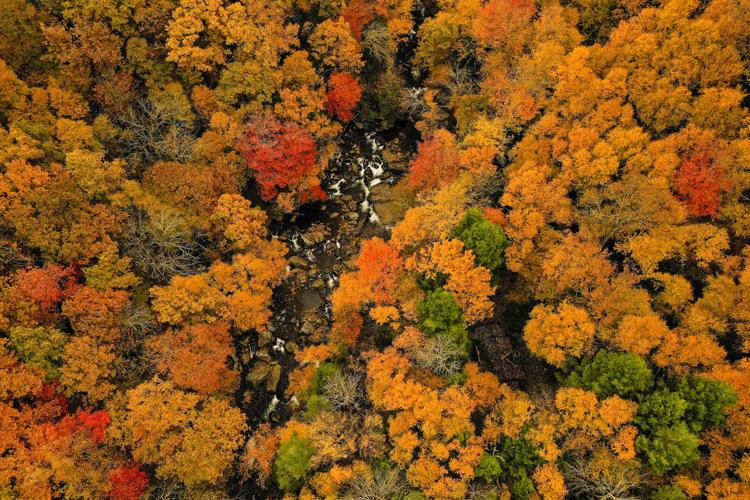 Fall foliage colors beginning to appear in West Virginia | News ...
