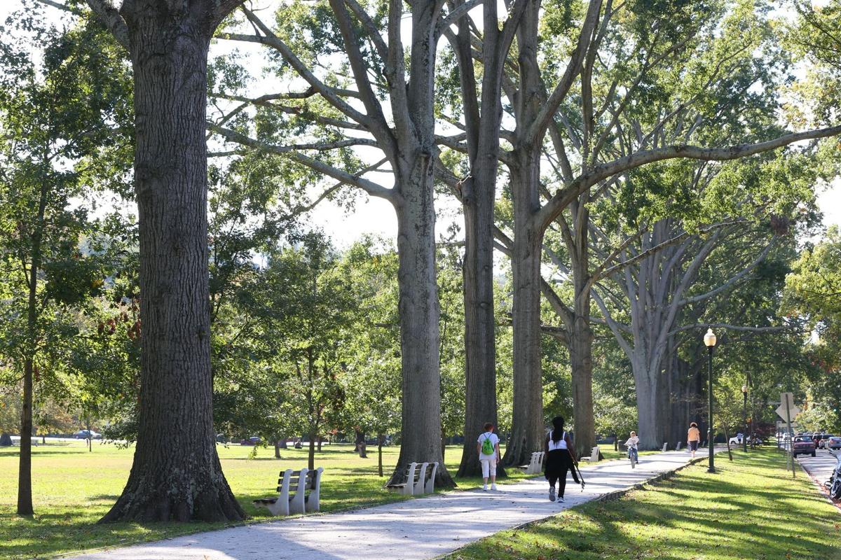 Gallery: Ritter Park | Photos News | herald-dispatch.com