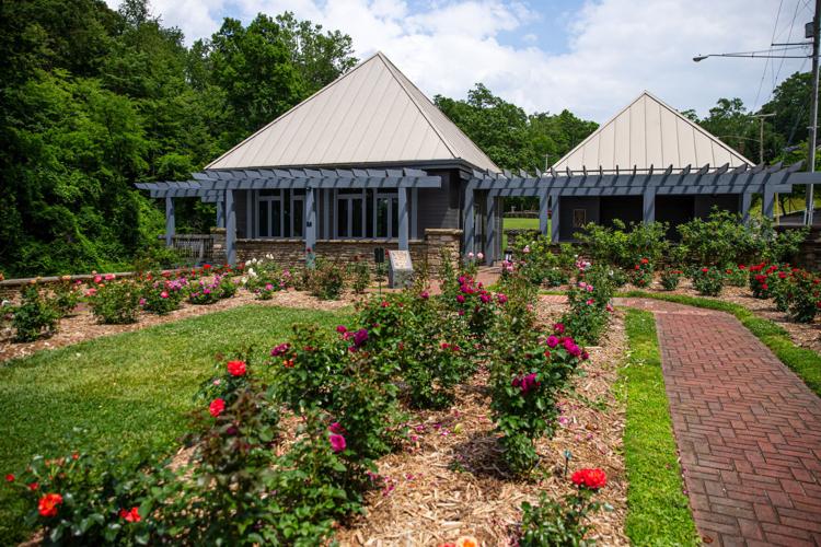 Rose garden in full bloom; new rose garden beds planted at Ritter Park ...