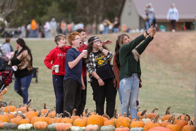 Photos: Families enjoy day off at Gritt's Farm | Multimedia | herald ...