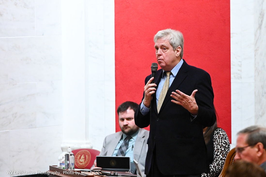 Woelfel selected as Senate minority leader | News | herald-dispatch.com