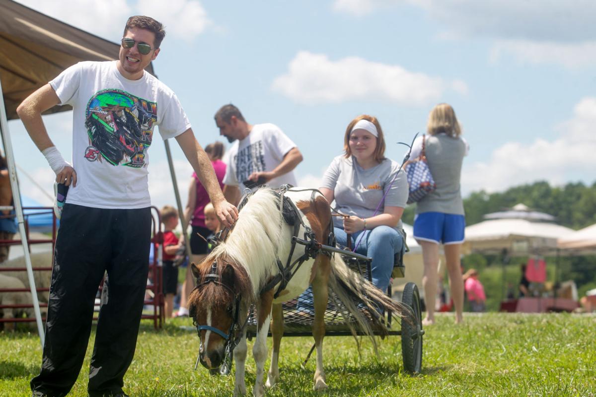 Photos: Community Day at Boyd County Fair | Multimedia | herald ...