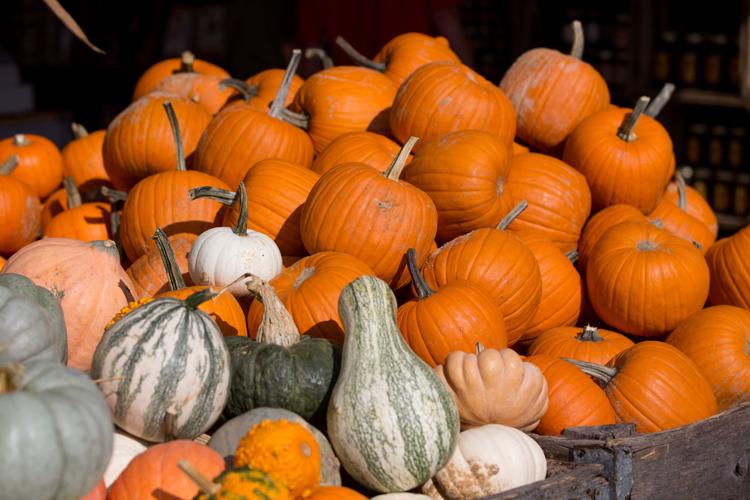 Photos: West Virginia Pumpkin Festival | Multimedia | herald-dispatch.com