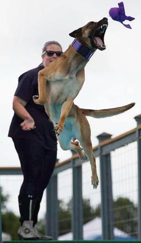 Kentucky DockDogs to host Woofstock competition | Features ...