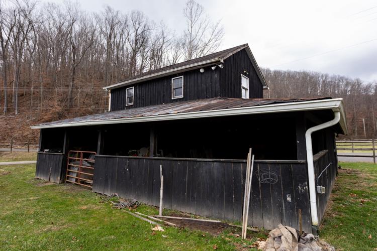 Heritage Farm starting wildlife rehabilitation program | News | herald ...