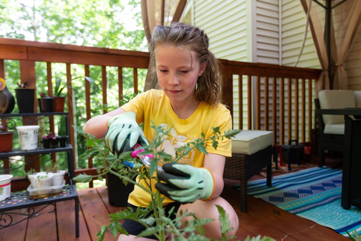 Abby Roe has grown love for plants into community action | Features ...