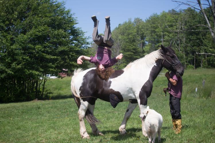 Timberline Stables offers unique way to explore mountains | Features ...