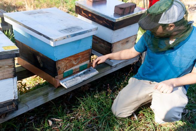 WV beekeepers draft bill to increase honey bee protections | News ...