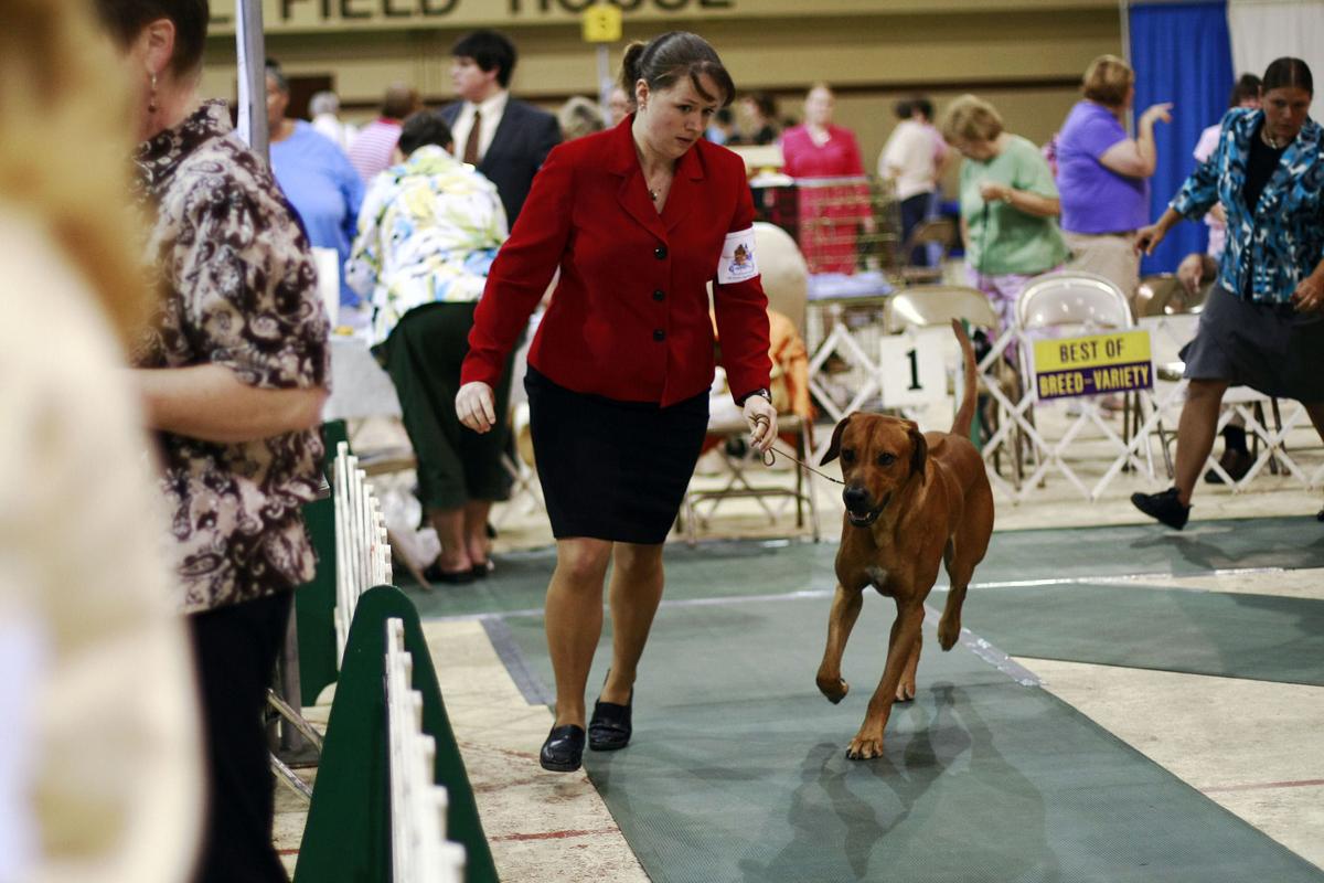 Gallery Huntington Kennel Club 88th Annual Dog Show | Photos News ...