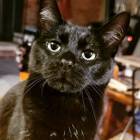 Photos: Herald-Dispatch readers share pictures to celebrate National ...