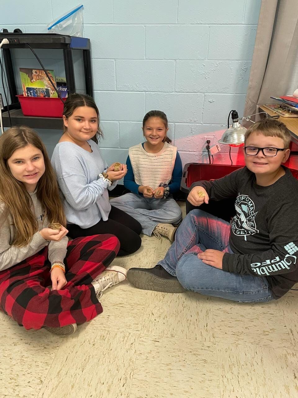 Wayne Middle Chicken Tenders club expanding with greenhouse | News | herald-dispatch.com