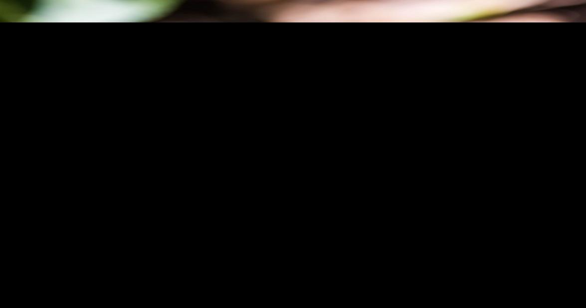 Travis Lemon: Blue violets are a front yard remedy | Features ...