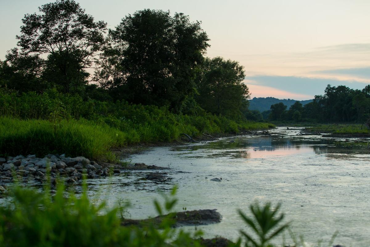 Photos: Green Bottom Wildlife Management Area | Multimedia | herald ...