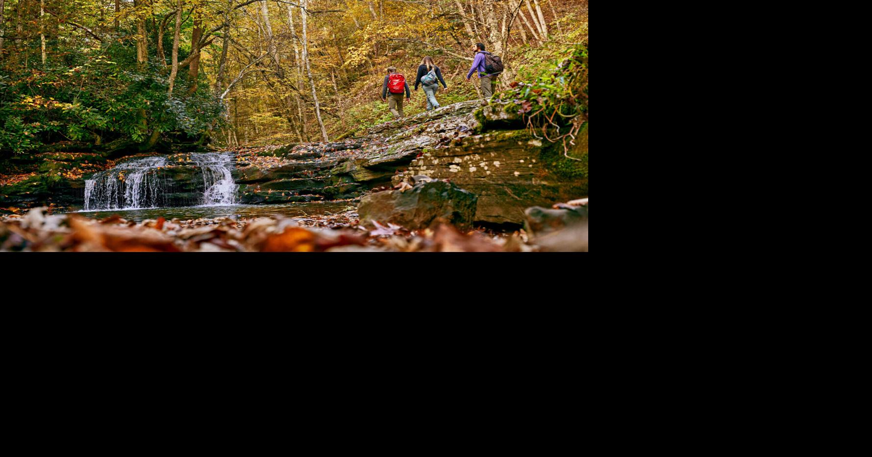 Here's a list: 44 free Spring Nature Fling events blossoming across ...