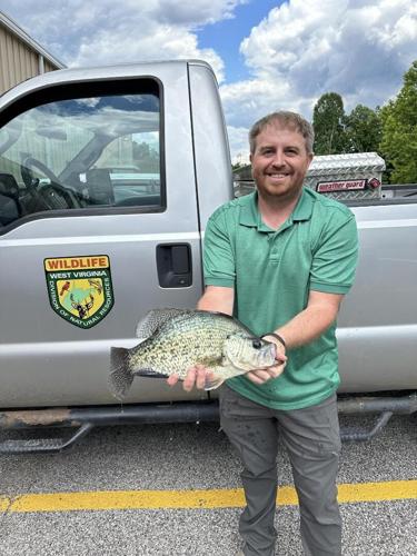 Two WV state record fish caught in June | News | herald-dispatch.com
