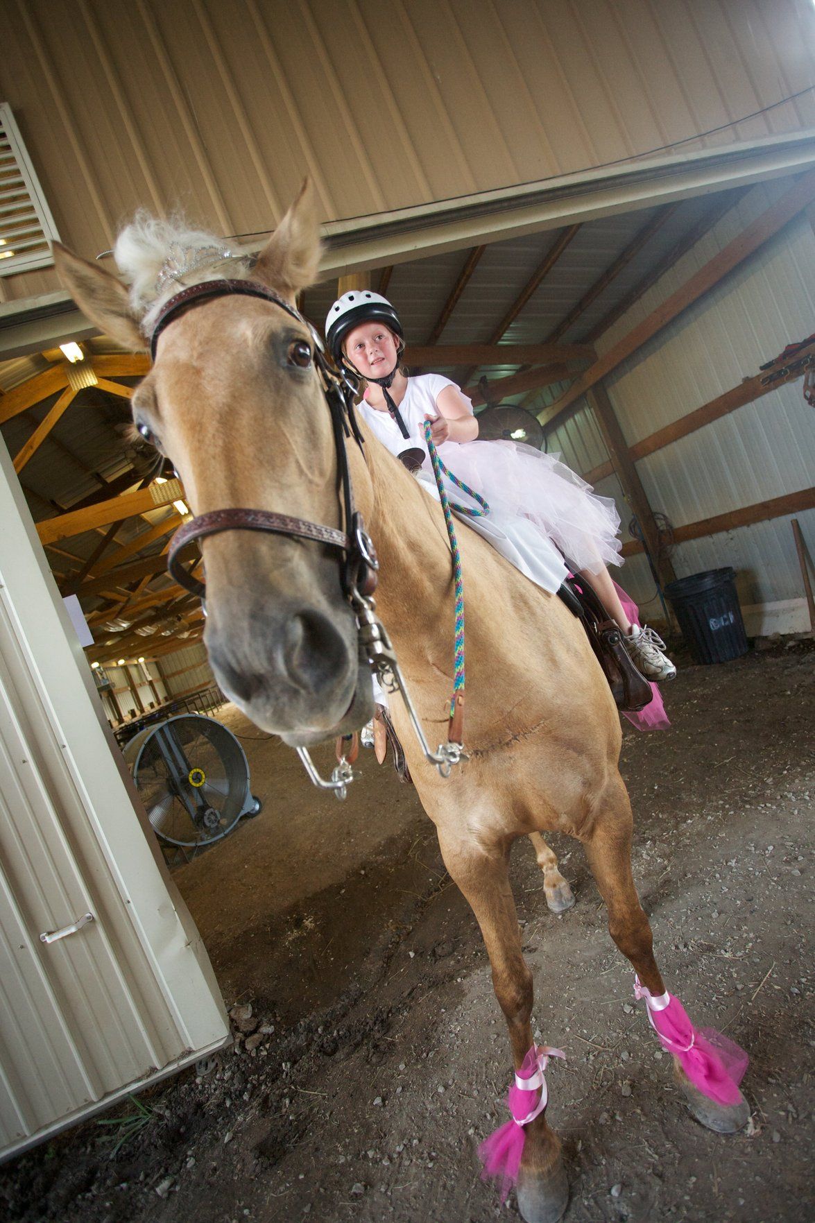 Gallery: Boyd County Fair | Photos News | herald-dispatch.com