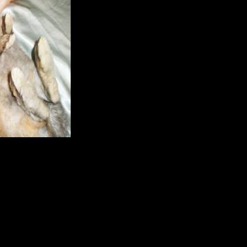 Karin Fuller: When the going gets worse | Features/Entertainment ...