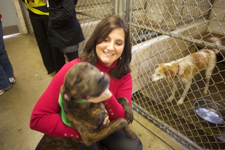 Gallery: Volunteers of the the Cabell-Wayne Animal Shelter | Photos ...