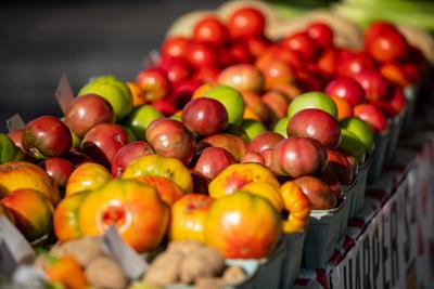 Seniors farmers market voucher program returns in 2023 | News | herald ...