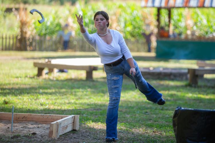 Milton Corn Maze now open on weekends for fall family fun | News ...